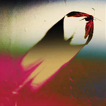 Scowl "Are We All Angels" - RevHQ.com