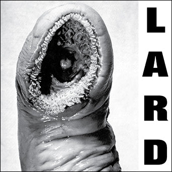 Lard "The Power Of Lard (Color Vinyl)" - RevHQ.com